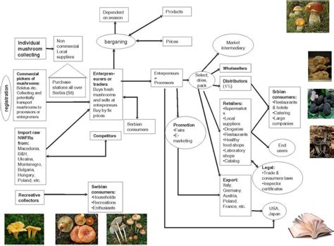 Keča 2015 Value Chain Analysis For Mushroom Download Scientific