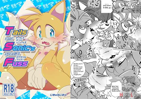 Tails And Sonics Special Fuss Sample Read Hentai Doujinshi For Free