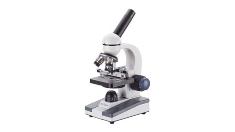 Microscopes For The Classroom At Joel Norris Blog
