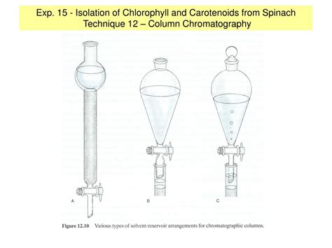 Ppt 3 Prelab Isolation Of Chlorophyll And Carotenoids From Spinach