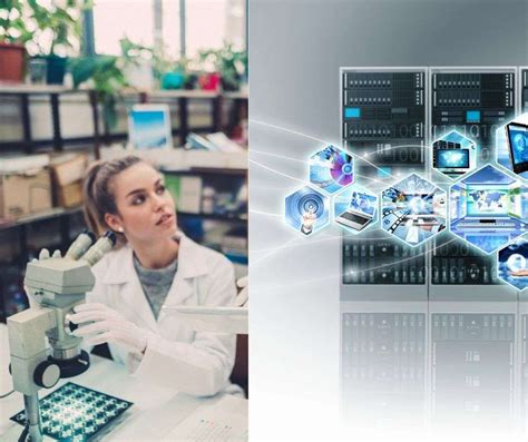 Top Stem Graduate Programs Pathways To Brilliance 6 Powerful