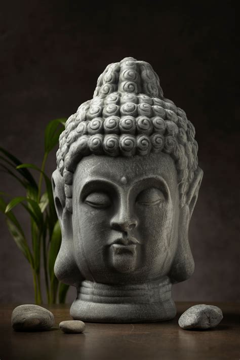 Page 3 Nature Green Buddha Images Free Download On Freepik