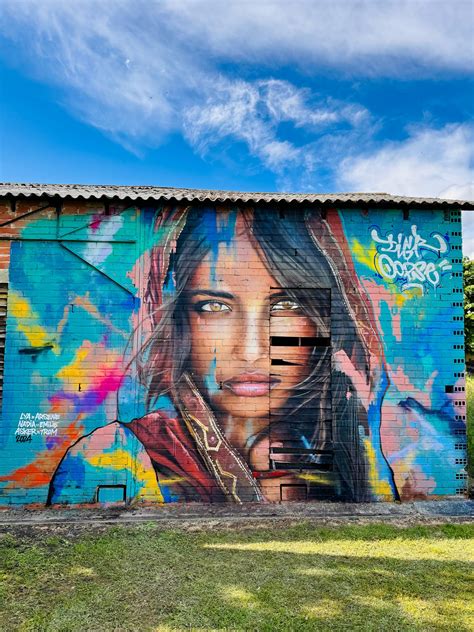 Fresque Sur Ancien Séchoir à Tabac Montauban 82 Halltimes