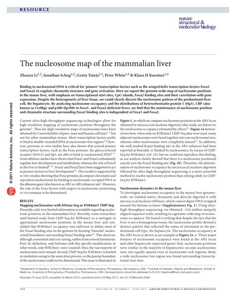 Pdf The Nucleosome Map Of The Mammalian Liver