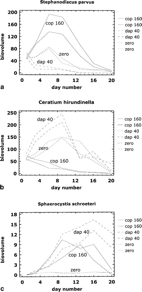 Time Series Of Three Representative Phytoplankton Taxa Shown For The