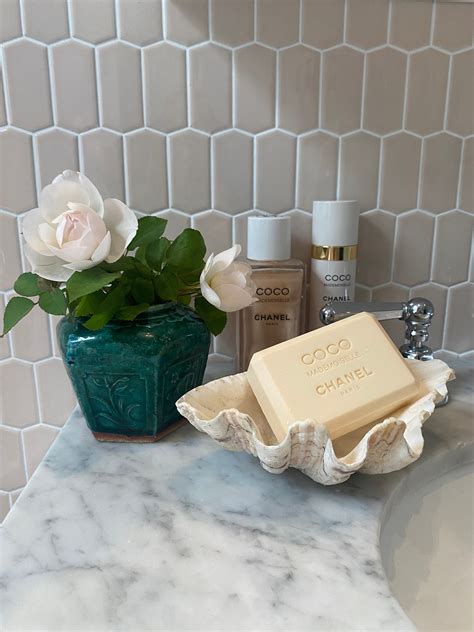 Small Clam Shell Etsy