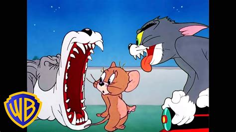 Funny Cartoon Pictures Of Tom And Jerry