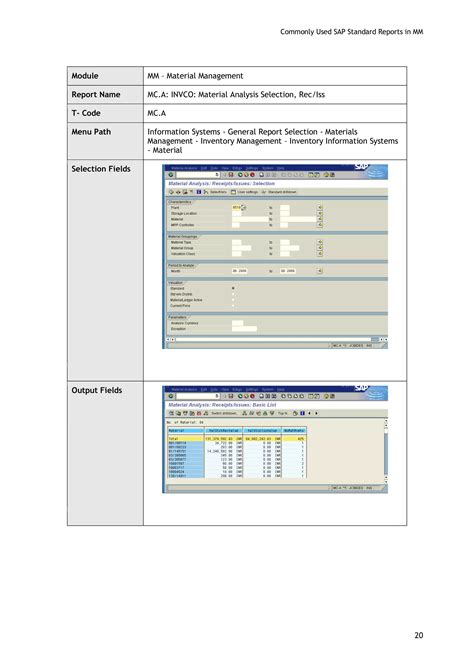 53895478 Sap Mm Reports Pdf