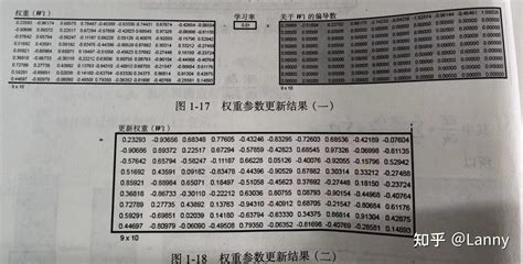 可视化skip gram模型实现过程 知乎