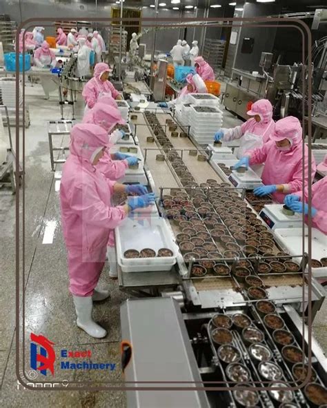 Canned Meat Processing Canned Fish Processing Canning Weighting