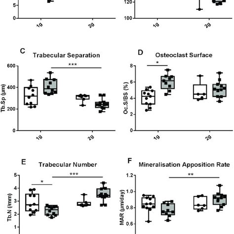 Tibia Trabecular And Cortical Bone Parameters Trabecular Parameters Download Scientific