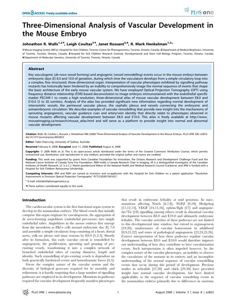 Pdf Three Dimensional Analysis Of Vascular Development In The Mouse