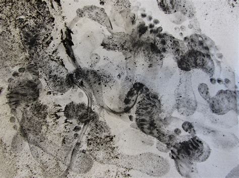 Landscape Process Howdoyoulandscape