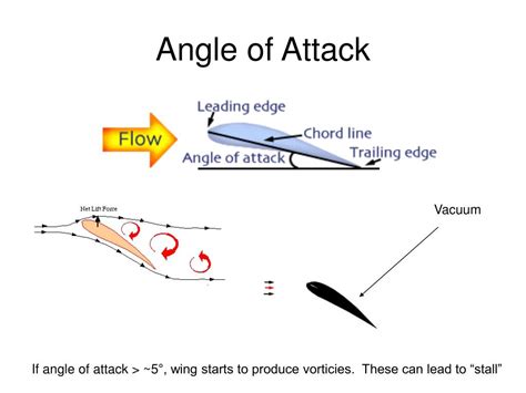 Ppt Flight And Other Locomotion In Birds Powerpoint Presentation Free Download Id151337