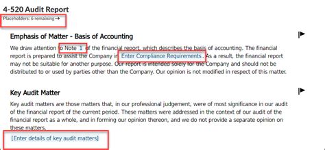How Does The Audit Report In Agile Audit Work