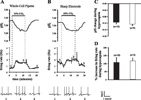 Figure 1 From Somatic Vs Dendritic Responses To Hypercapnia In