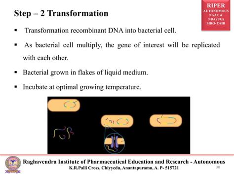 Gene Mapping And Cloning Pptx