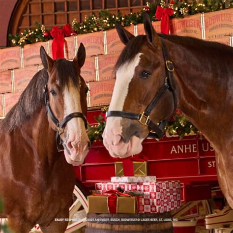 Budweiser Zero American Lager Beer 6 Bottle 12 Fl Oz Fred Meyer