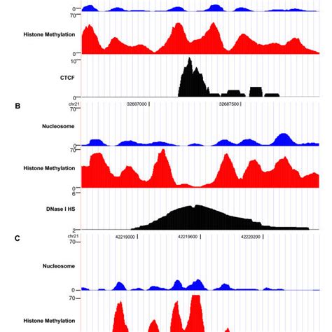 Comparison Of Nucleosome Positioning Signals Of Histone Methylation Download Scientific Diagram