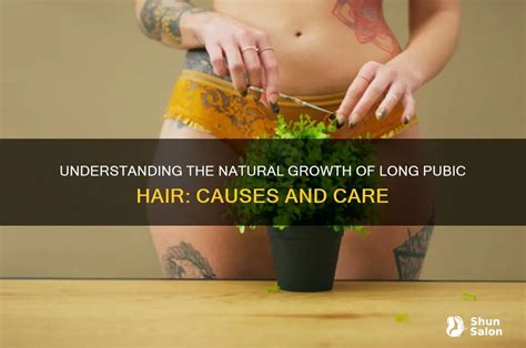 Understanding The Natural Growth Of Long Pubic Hair Causes And Care