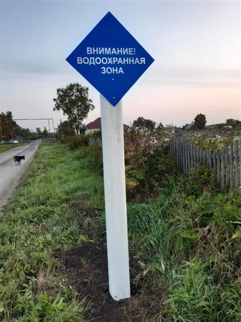 Необычные знаки появились на улицах Каргата