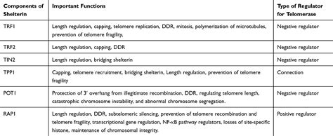 Shelterin Complex At Telomeres Implications In Ageing Cia