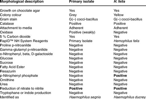 Bacteriological Culture Test At Eugene Bergeron Blog