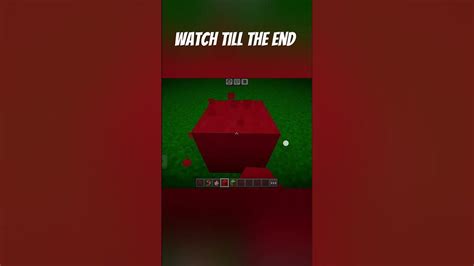 Baloon In Minecraft Shorts Youtube