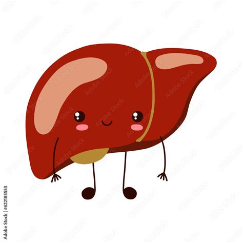 Liver Cartoon Character Healthy Liver Internal Organs Stock Vector