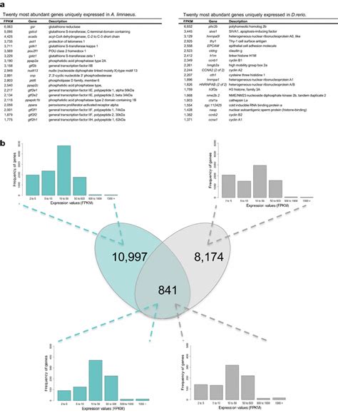 Comparative Analysis Of Poly A Transcriptomes In 1 2 Cell Stage Embryos Download Scientific