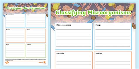 Classifying Microorganisms Fact File Template Teacher Made