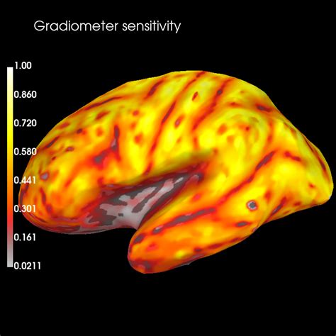 Display Sensitivity Maps For Eeg And Meg Sensors — Mne 180 Documentation
