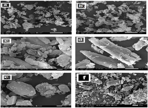 Scanning Electron Micrographs Of A Nimodipine B Wet Ground Download Scientific Diagram