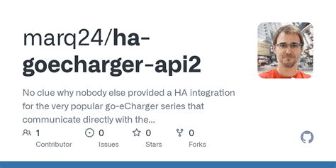 Goecharger Api Control Your Go ECharger Wallbox Directly Via The API V Gemini Flex HOMEfix