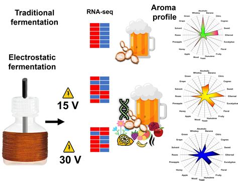 Electrostatic Fermentation Molecular Response Insights For Tailored