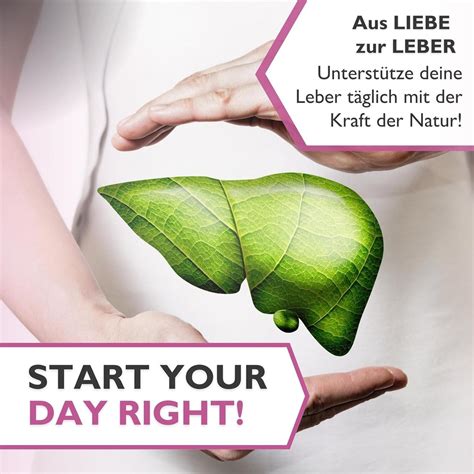 Code Vital Mary Thistle Capsules With Choline Liver Support With