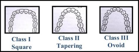 Figure4 Arch Shape Based On Houses Classification Download Scientific Diagram