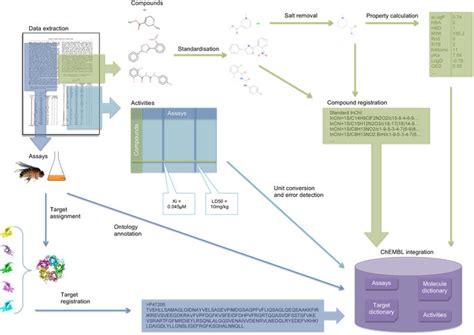 Diagram Showing The Data Collection Standardization And Integration
