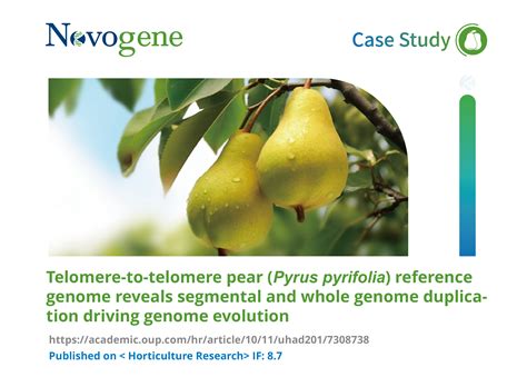 Telomere To Telomere Pear Pyrus Pyrifolia Reference Genome Reveals