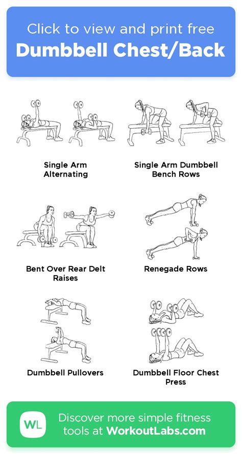 Printable Dumbbell Back Exercises