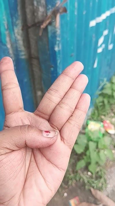 Kadle Dikhao Youtube