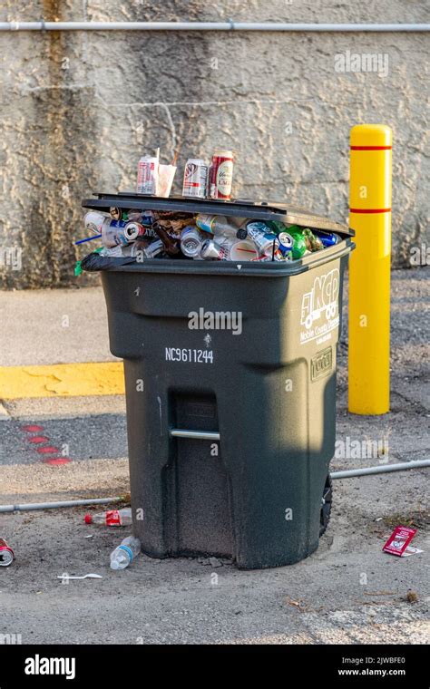 Best Disposal Trash At Zane Stirling Blog