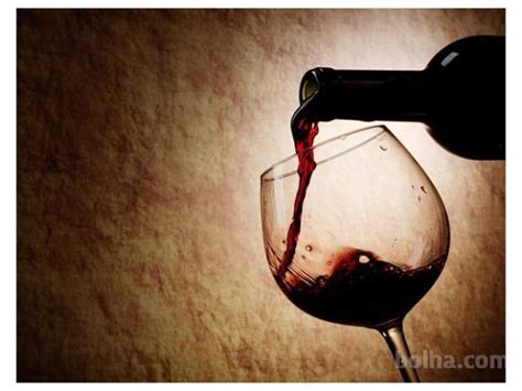 Domači Teran Vino Odlične Kvalitete