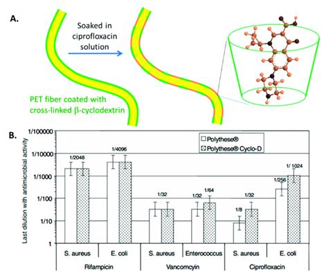Use Of Cyclodextrin Polymer To Encapsulate Antibiotics A Schematic