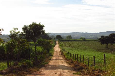 Os Melhores Bairros Para Morar Em Novo Gama Go