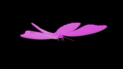 3d Animated Moth Rigged For Maya Turbosquid 2374677