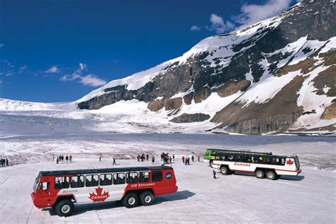 Brewster Sightseeing Columbia Icefield Tours And Attractions