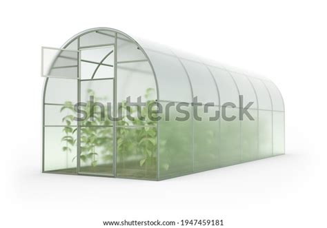 Greenhouse Front View Isolate Over 54 Royalty Free Licensable Stock
