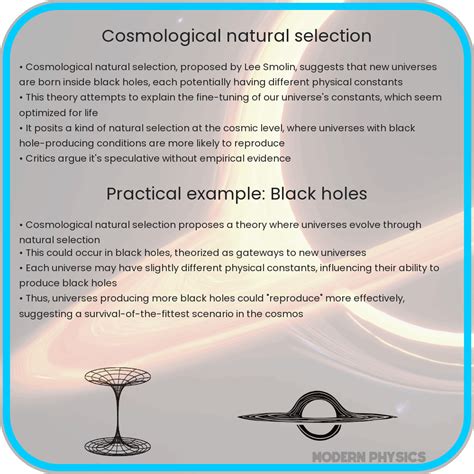 Cosmological Natural Selection Theory Implications And Debates
