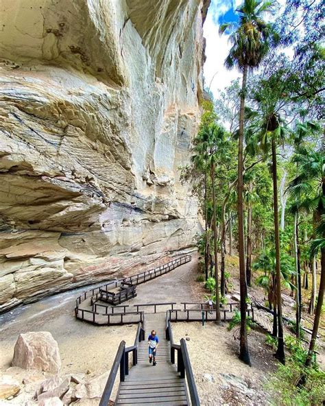 Everything You Need To Know About Carnarvon Gorge For Families Queensland